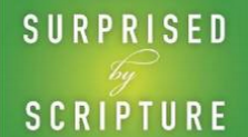 The Baptist Union of Great Britain : Surprised by Scripture By Tom Wright